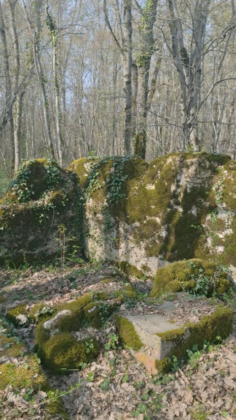 Гапоновский дольмен. Крымский район.