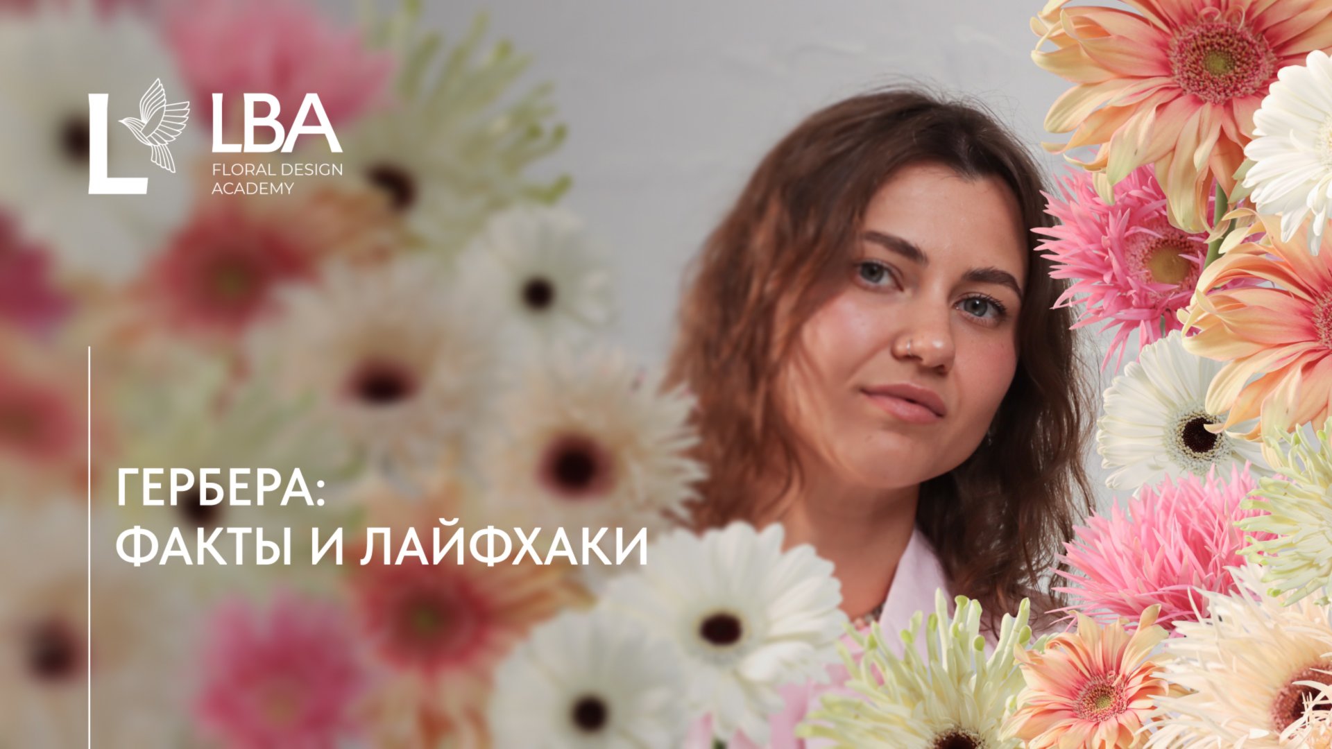 КАК ЗАФИКСИРОВАТЬ ГЕРБЕРУ | УХОД И ХРАНЕНИЕ | СОВЕТЫ LBA