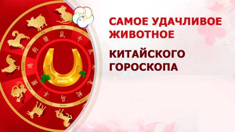 СКАНЕР УДАЧИ: Самое удачливое животное китайского гороскопа