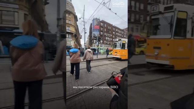 ИТОГИ ОБУЧАЮЩЕГО ТУРА В ВЕНГРИЮ 🇭🇺✨