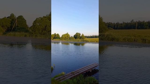 Снимаем в золотой час - прогулка целиком