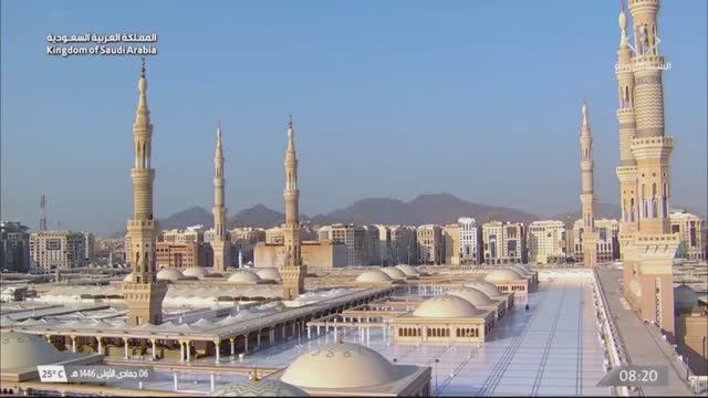 Лучезарная Медина, 7 ноября 2024 г.