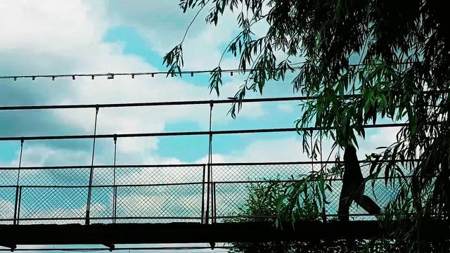 Отчет по практике Шерстюк