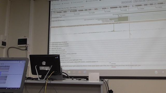 День 2 часть 9. Лекция Скоблова МЮ в ДВФУ 2019