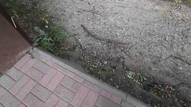 КОРОЧЕ ГОВОРЯ ВЫГНАЛИ ИЗ ДОМА