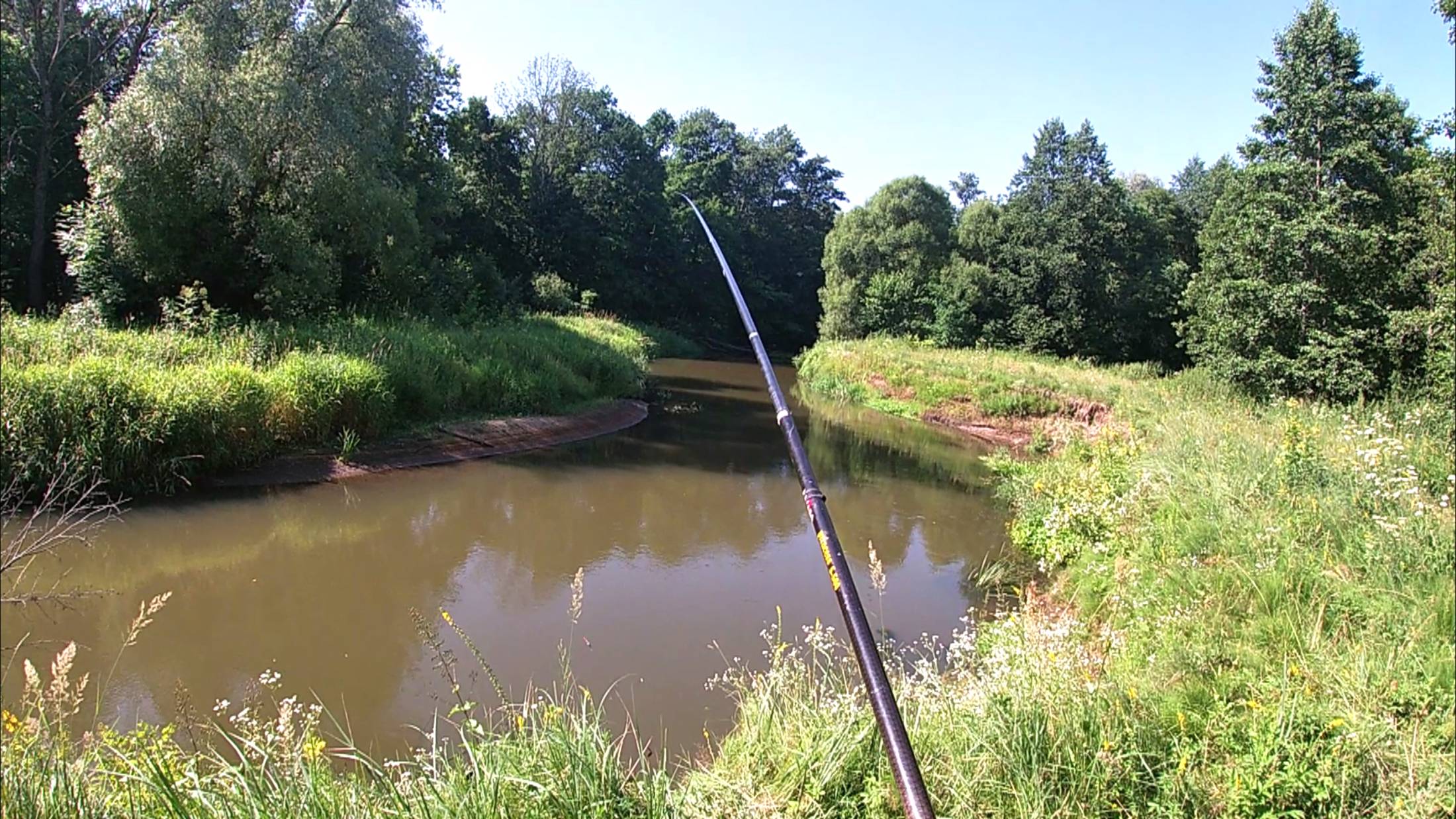 Рыбалка на поплавок 10 июля в жару на малой реке на удочку около травы. Улов уже радует!