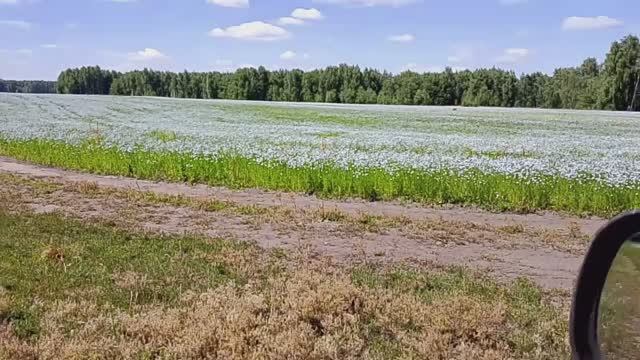 Россия 🇷🇺, страна моя родная.Много в ней лесов,полей и гор