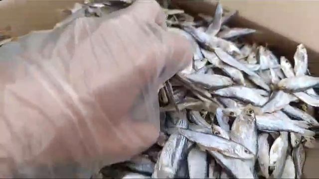 Тюлька вяленая слабосолёная