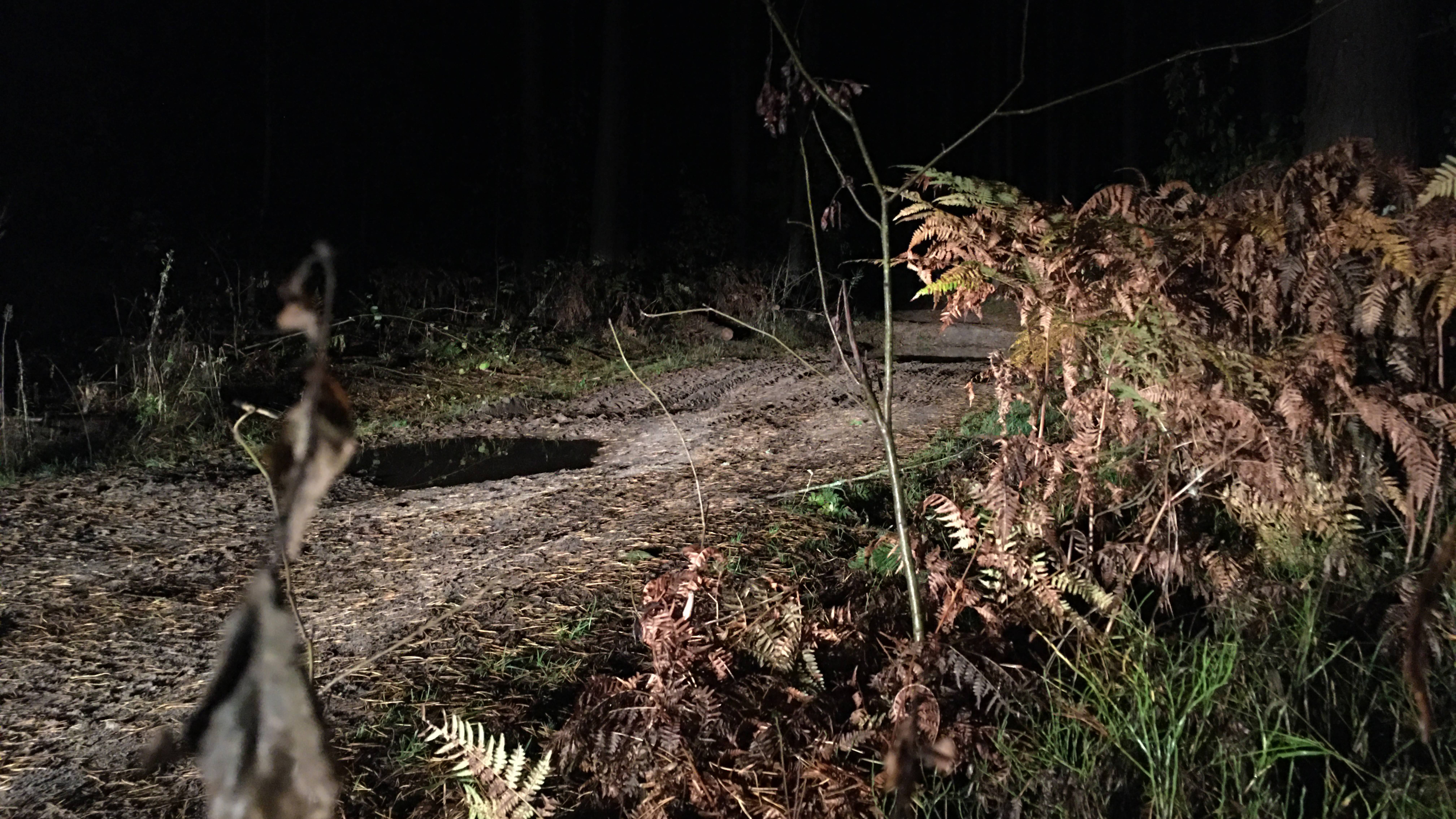 Дорога на Нерскую