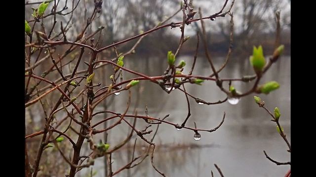 Иеромонах Роман, монах Афанасий (Кокорев). «Придёт пора, и поведут на Суд…»
