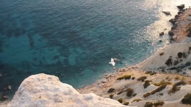 Kygo, Avicii, Martin Garrix, The Chainsmokers, Dua Lipa Styles - Feeling Happy