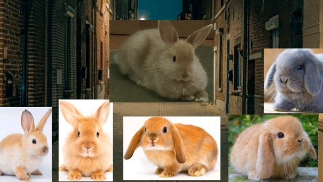 СЕРИАЛ: ЛИШЬ 1. ВСЕ СЕРИИ