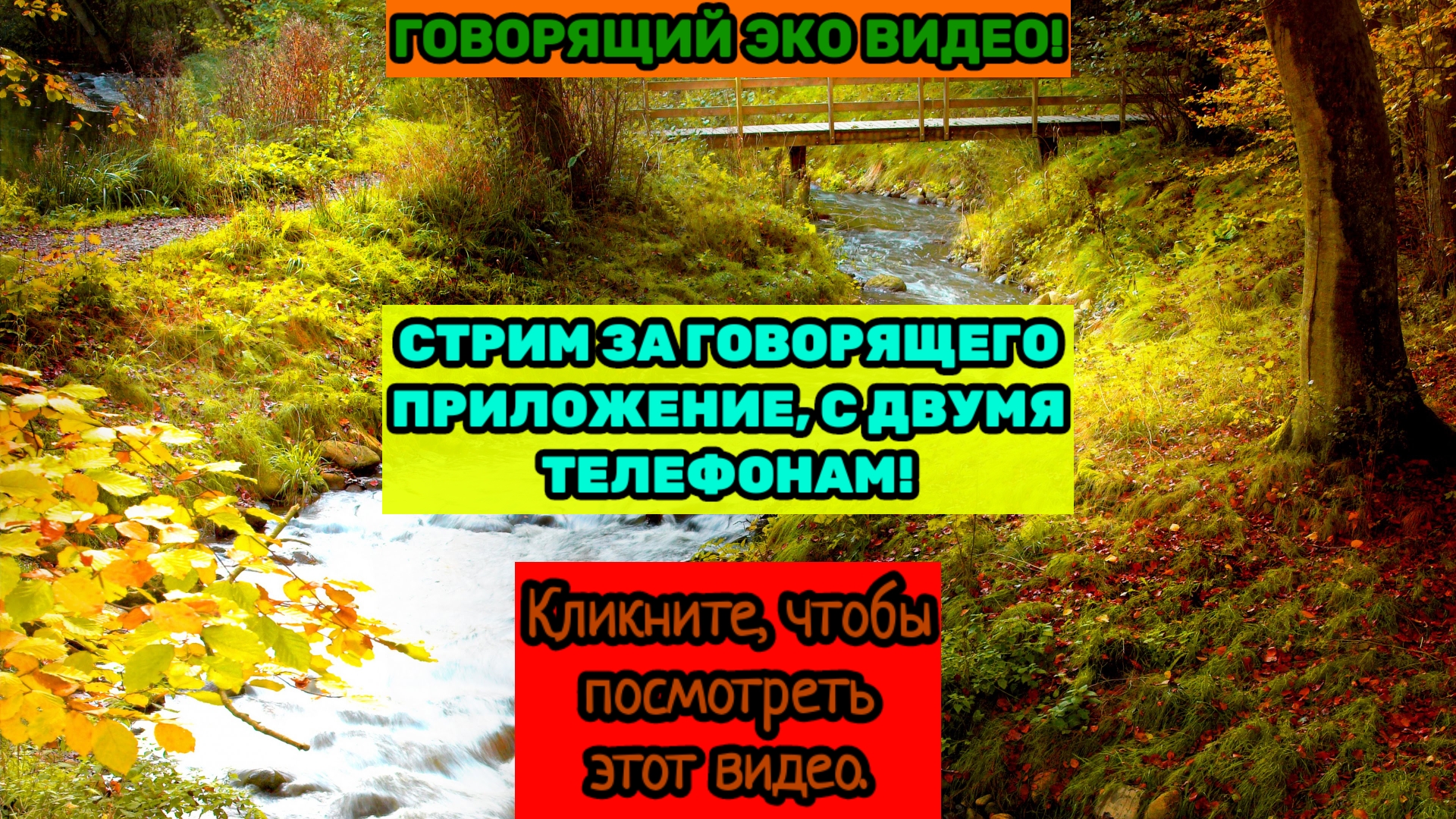 СТРИМ ПРО ГОВОРЯЩИЙ ЭКО С ДВУМЯ ТЕЛЕФОНАМ! ЭПИЗОДЫ УЖЕ В ПУТИ! КАТЕГОРИЯ ЗАМЕНЁН УЖЕ!