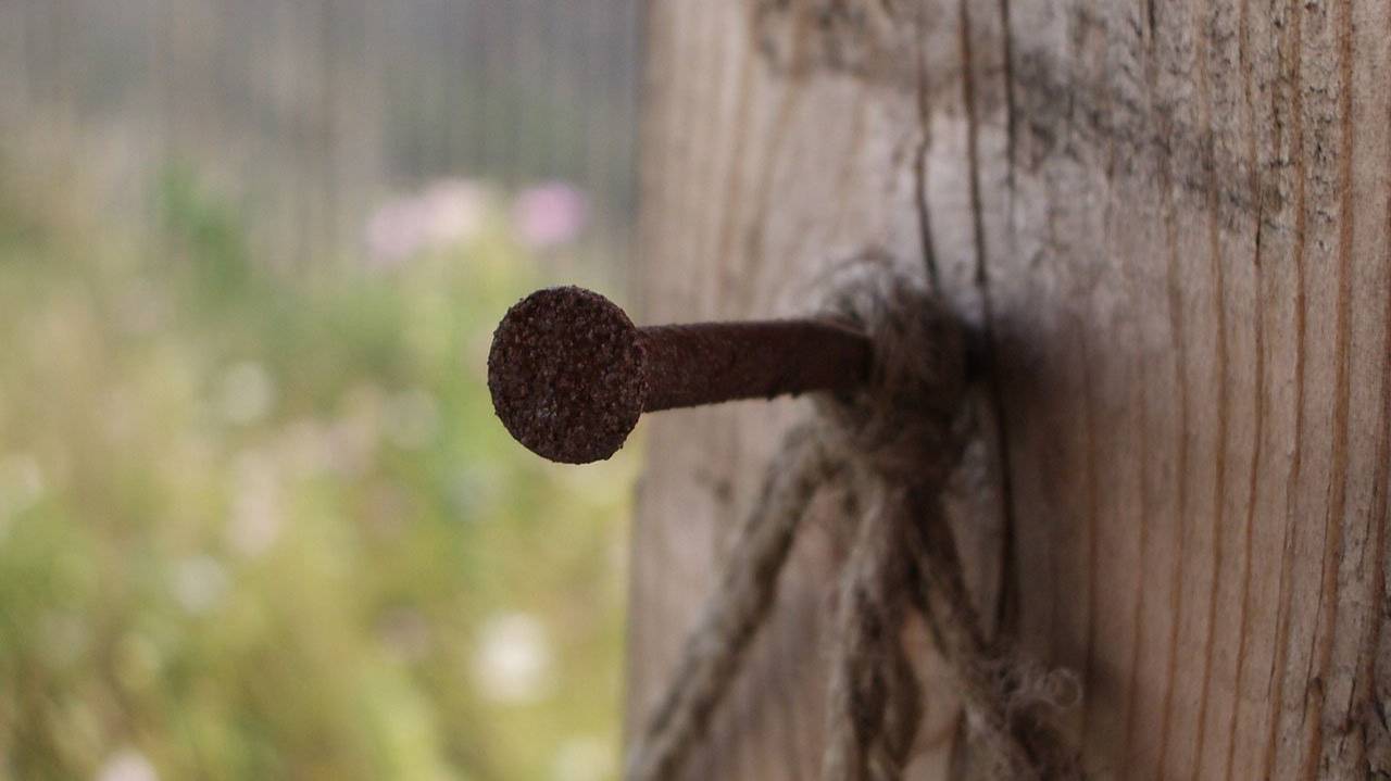 Новела о гвозде.  Любви моей ты боялся зря.