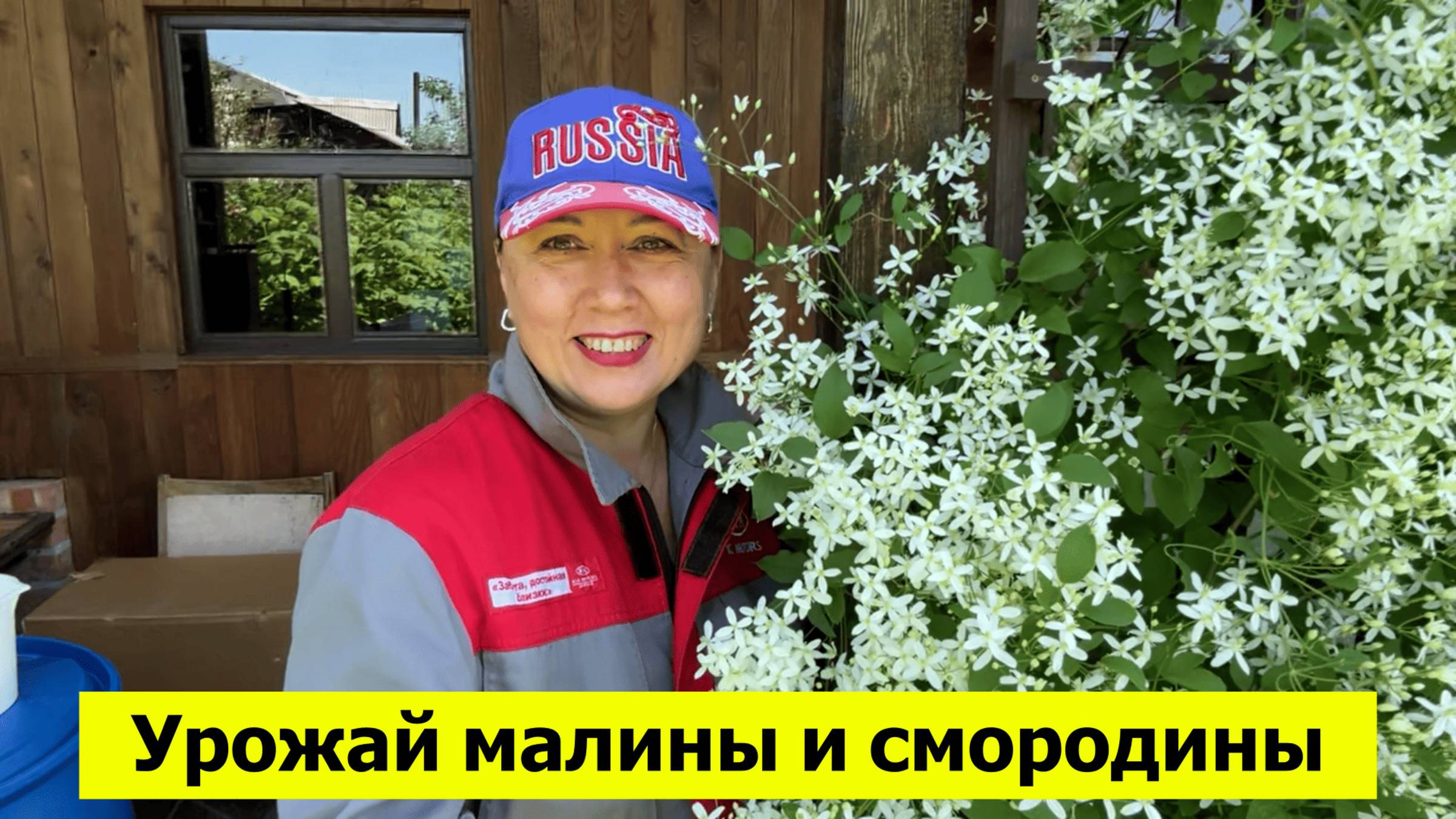 Наш урожай ягод! Собираем малину и смородину