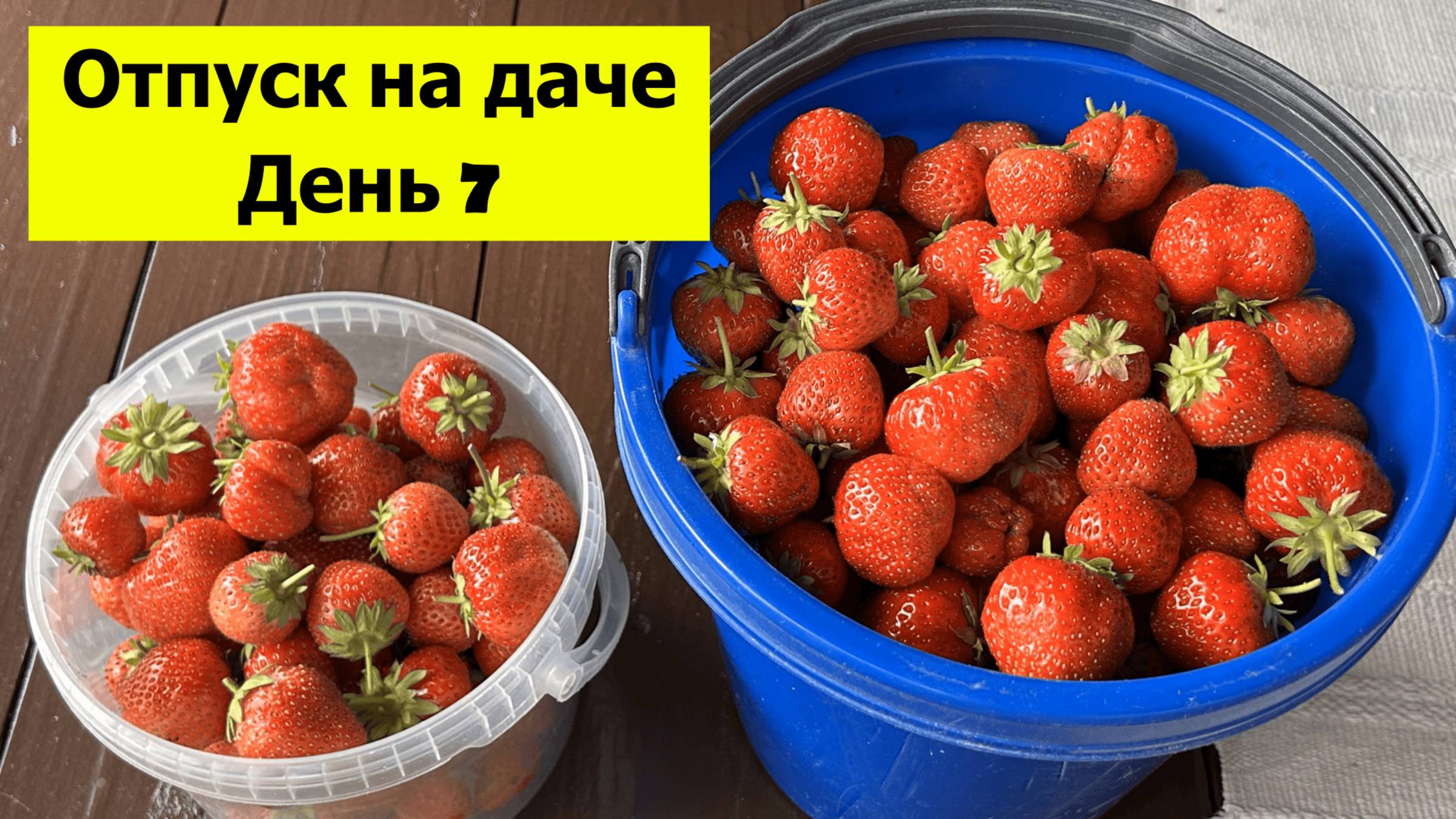 Отпуск на даче День 7. Мои успехи после Дня Рожденья