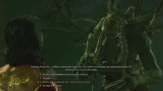 Baldurs gate 3 (Победа над ведьмой)