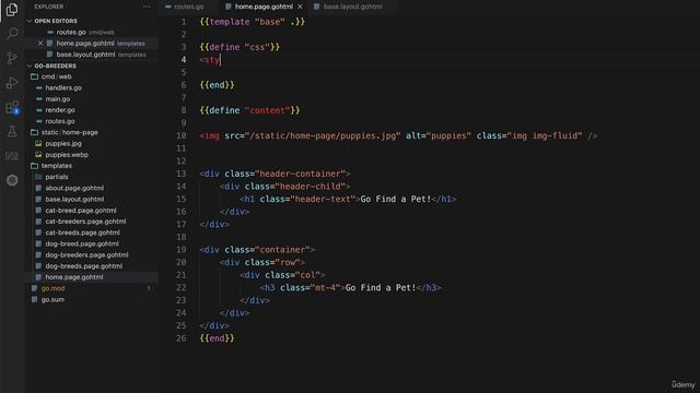 20 - Adding WebP and jpeg images to the home page