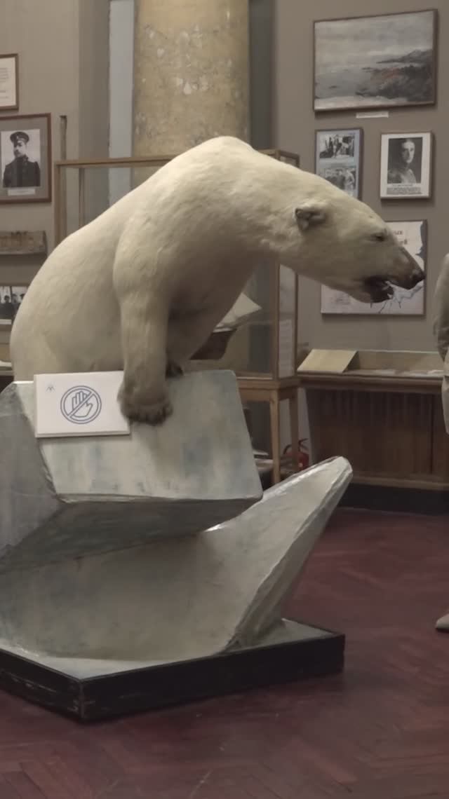 Шкура белого медведя вдохновила на книгу