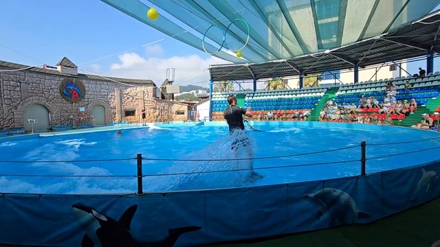 дельфинарий в Сочи