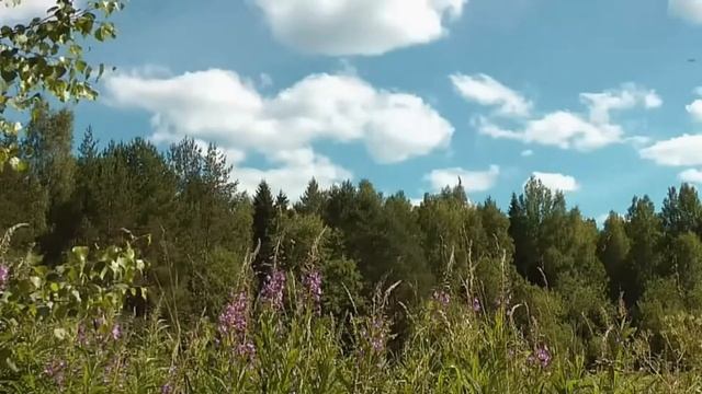 Эдгар Туниянц ~ Ностальгия.  Edgar Tuniyants ~ Nostalgia