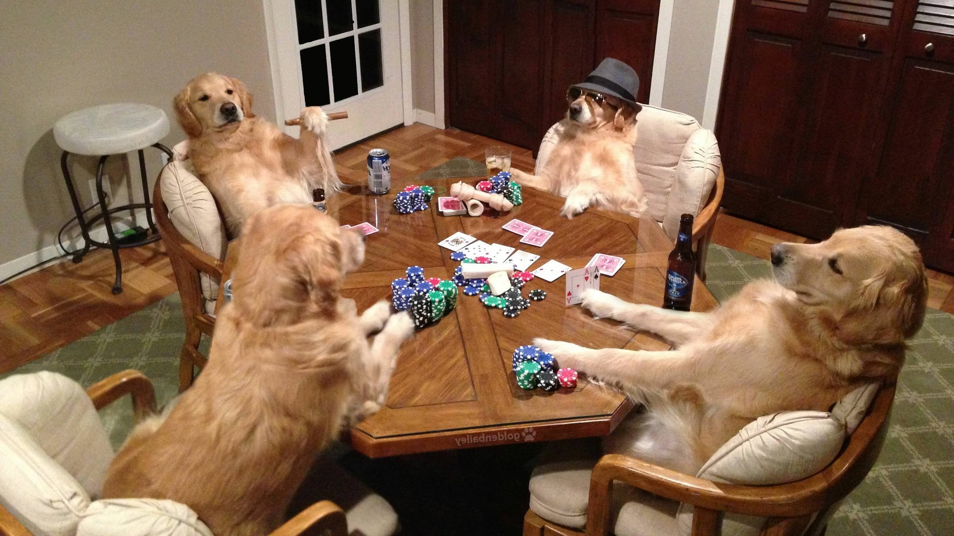 ПРИКОЛЫ С ЖИВОТНЫМИ ДО СЛЕЗ #102 Смешные КОТЫ И СОБАКИ  Приколы