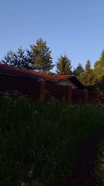 Снимаем в золотой час 7 -крыша аля Миядзаки