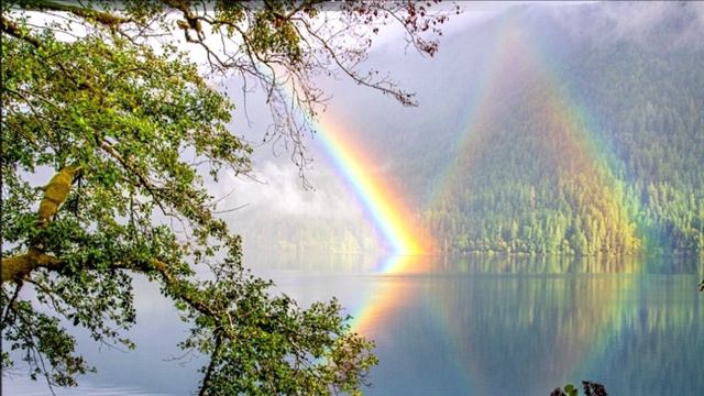 УПРАВЛЯЕМЫЕ «КУКЛЫ». Что представляют собой клоны и чем отличаются они от биороботов.