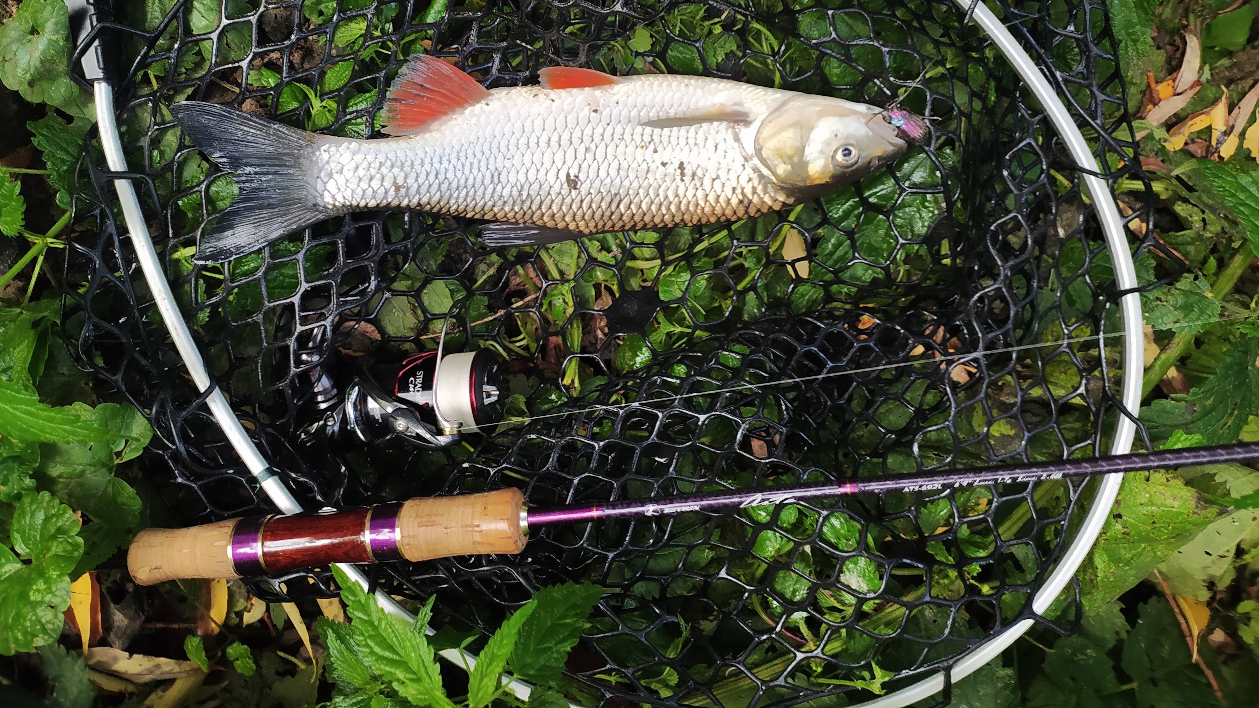 Десна, топвотеры утром 9 июля 2025 года