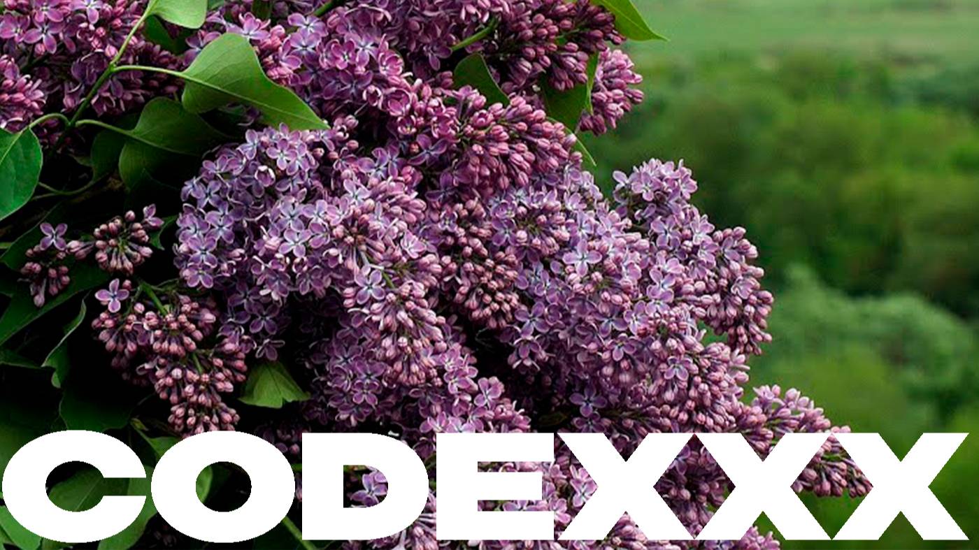 играем,разговариваем,смотрим фильм