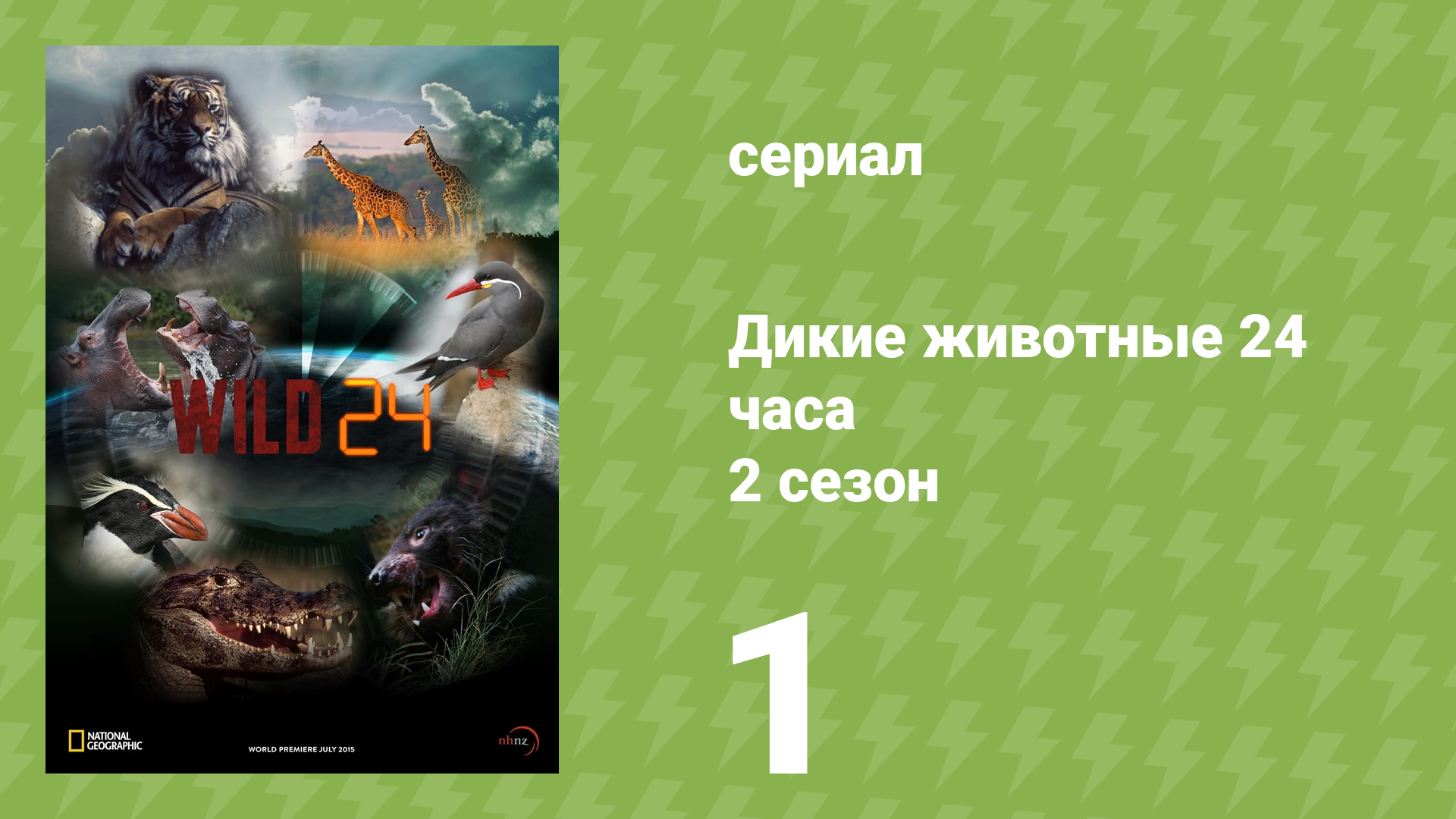 Дикие животные 24 часа 2 сезон 1 серия «Индийское лето» (документальный сериал, 2015)