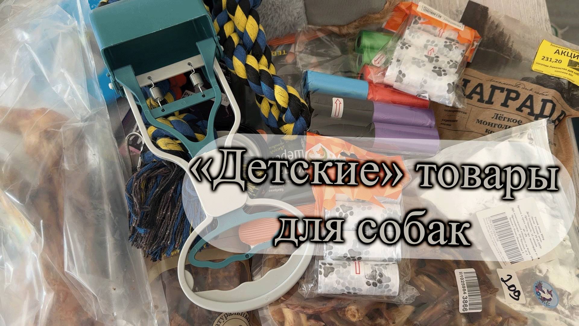 Закупка товаров для щенка 🐕. Что можно купить точно?! 🛍