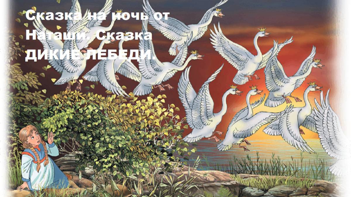 Сказка на ночь от Наташи. Сказка ДИКИЕ ЛЕБЕДИ. Часть 1.