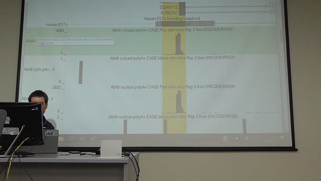 День 2 часть 2. Лекция Скоблова МЮ в ДВФУ 2019