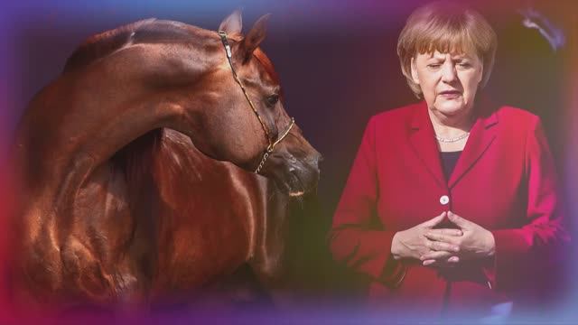 Андрей Куряев  Придётся повторить