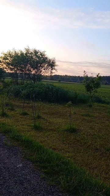 Снимаем в золотой час 2 - холодный свет