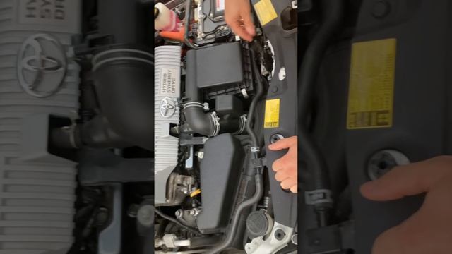 Техосмотр Тойоты Приус. Жидкости. Лето. Жара. Не закипайте