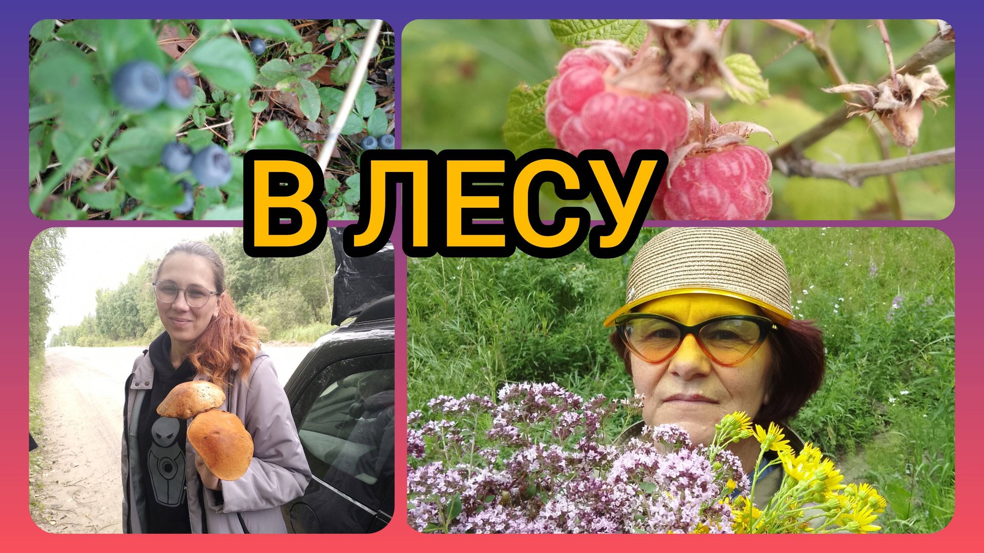В ЛЕСУ!  Грибы, ягоды, цветы и травы! 🌳🌲🌳🌿