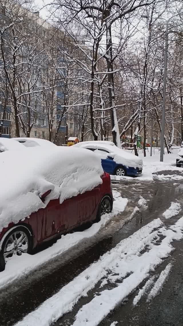 Обычный двор. Москва 09.04.2025 (14:38). м.Полежаевская. м.Хорошёвская. м.Зорге.