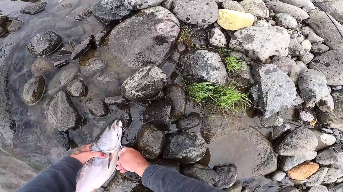 Рыбалка на реке Северная. Ловля хариуса на спиннинг. Часть вторая.