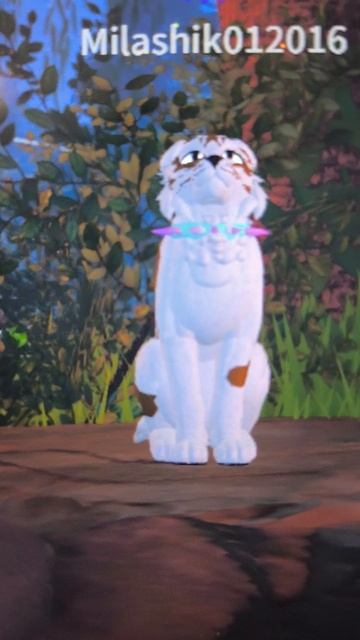 Коты воители роблокс