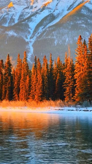 #канада #лес #горы #вода #снег Стиль 🔥 Лайк/подписка!