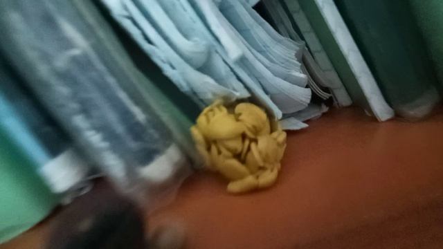 1 серия о ноу монетка в реале