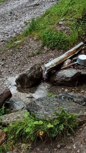 Горный Алтай. Родник. С.Аскат. https://t.me/mir_glazami_idushego