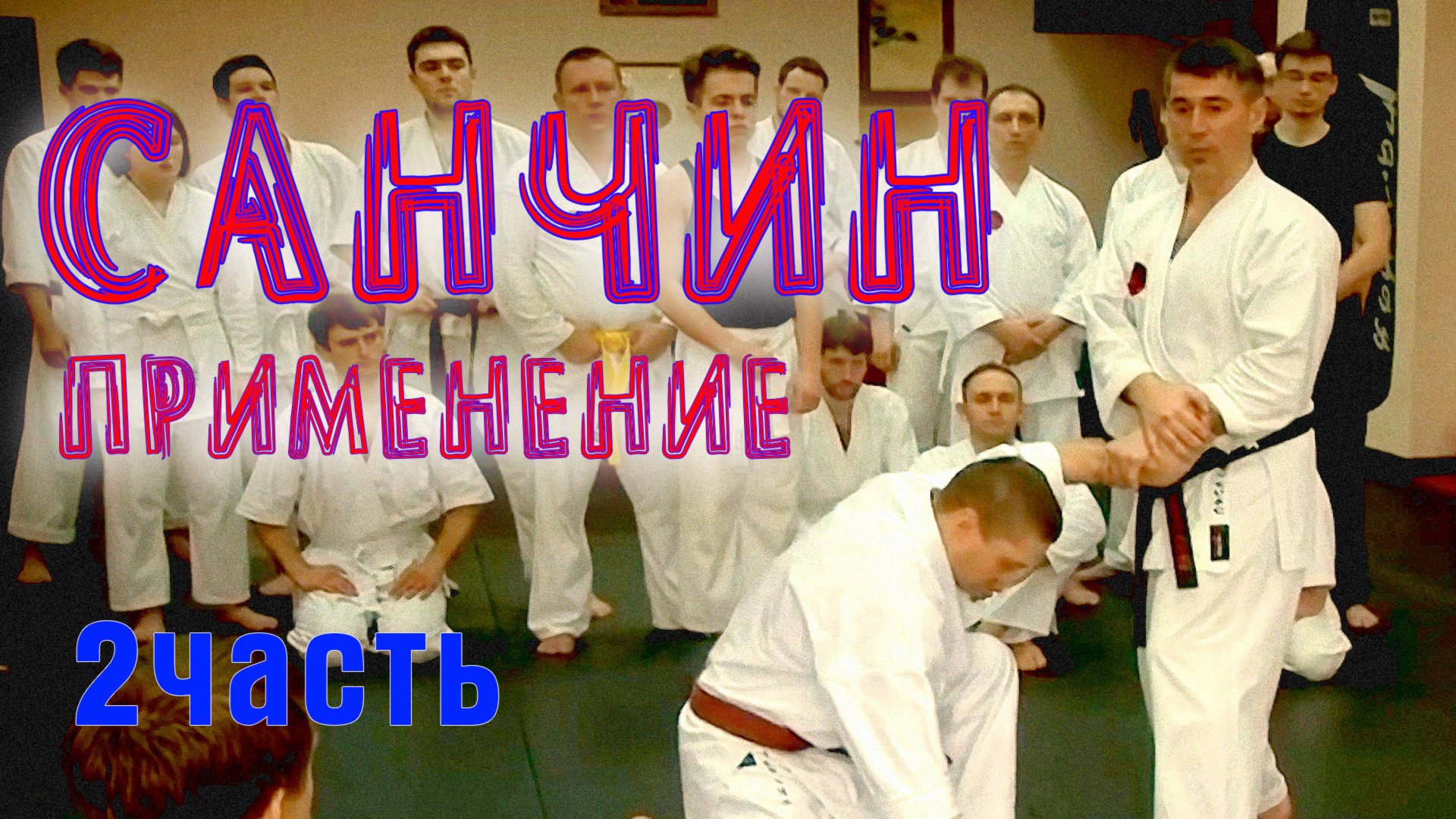 Санчин.Применение(семинар Богдана Курилко)2часть