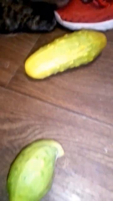 Огурец похож на попу - перезрел немножко, 
Как бы вечером вкусив - не превратиться в бабку-ежку.