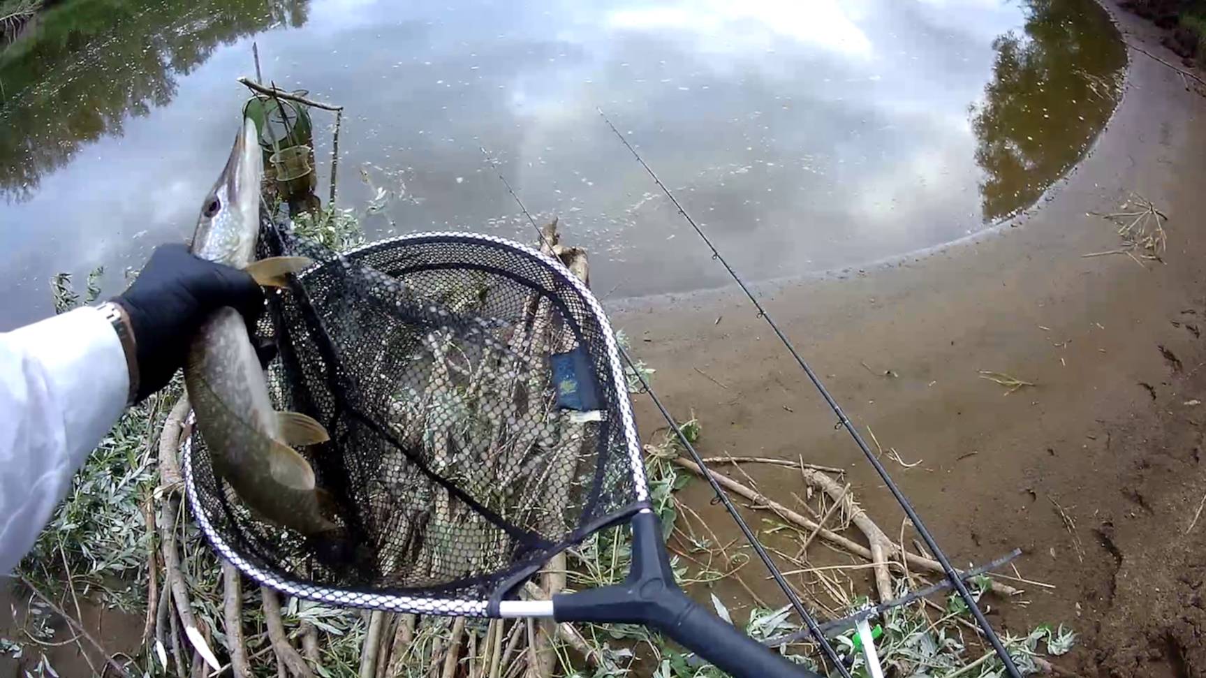 ЩУКА НА ФИДЕР