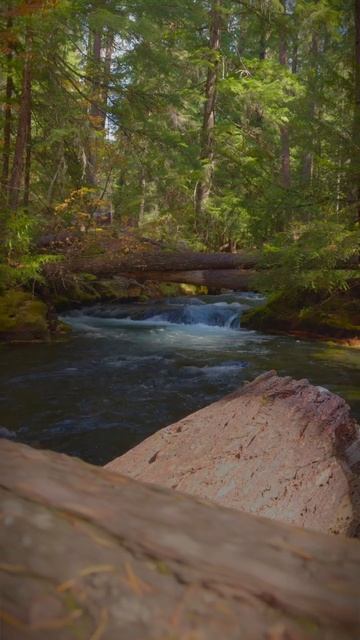 📍Oregon, USA #сша #вода #лес #природа Стиль 🔥 Лайк/подписка!