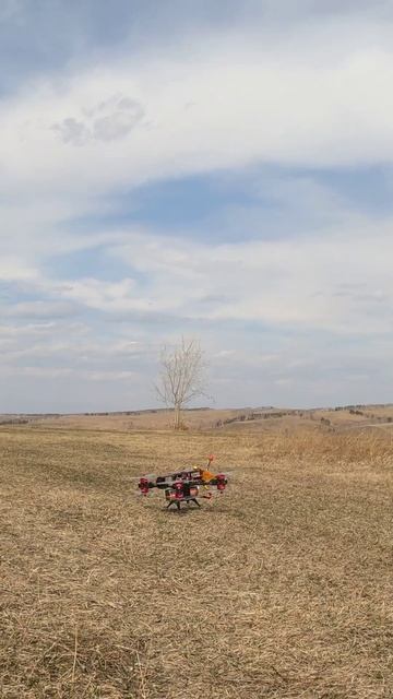 Синелифтер бомжелет