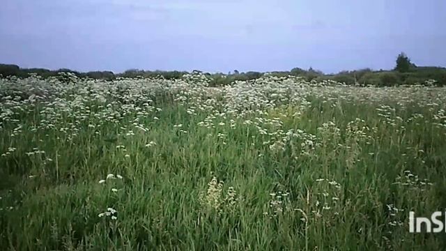 Музыка природы